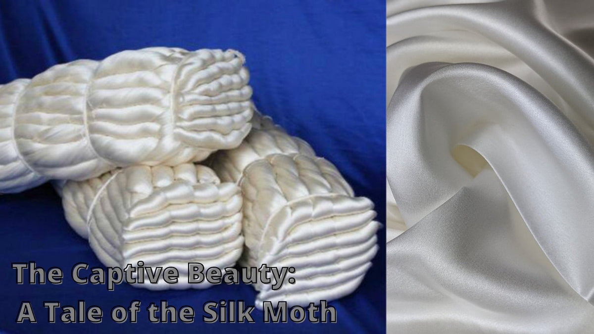 How Silk Is Made, What Silk is Made Of, How Silk is Made Into Fabric ...